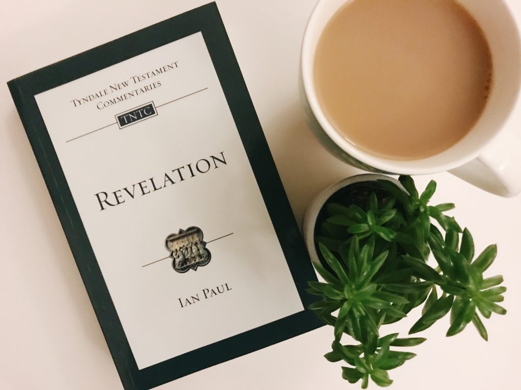 What is it like to write a commentary? | Psephizo