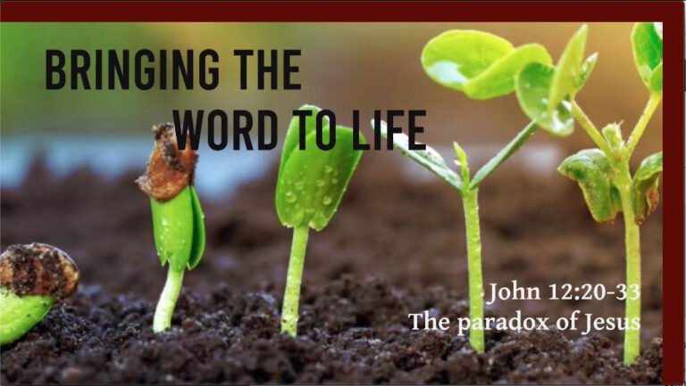 The paradox of Jesus in John 12 video | Psephizo