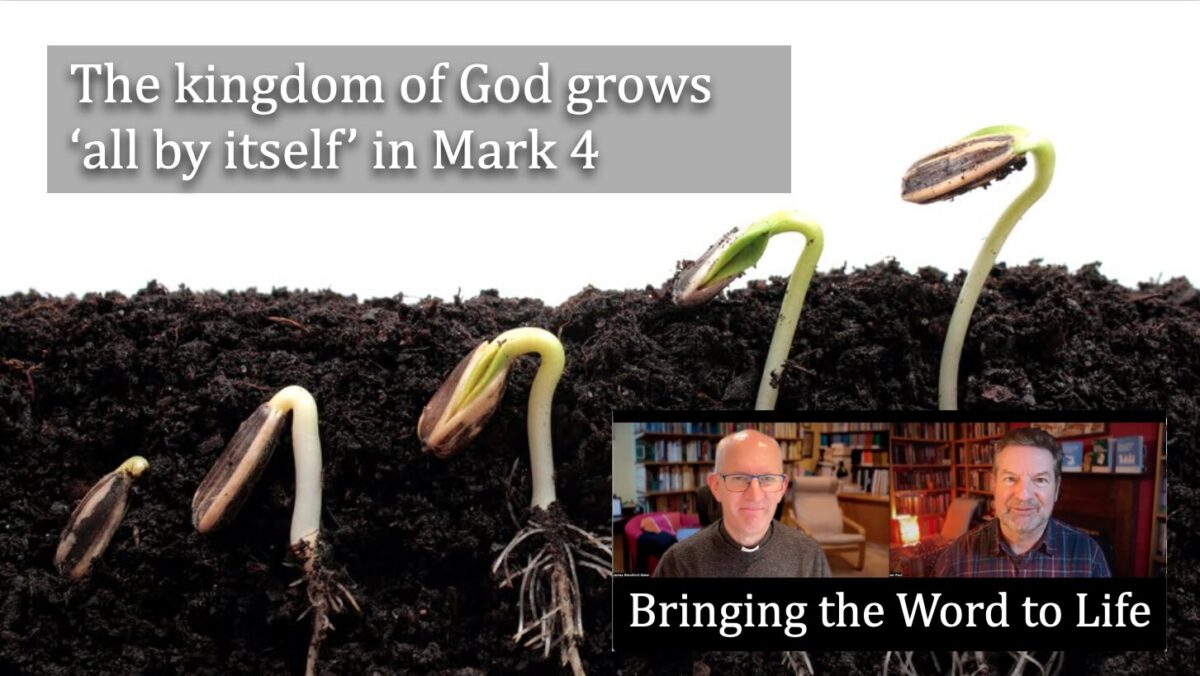 The kingdom of God grows ‘all by itself’ in mark 4 video discussion ...