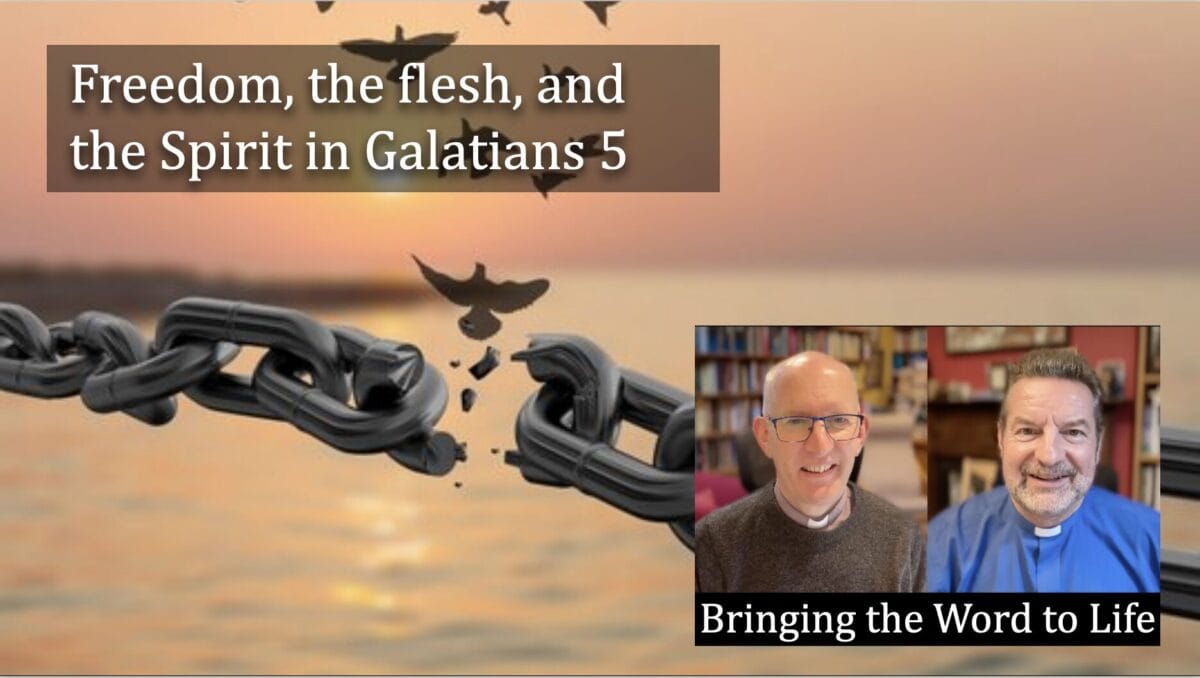 Freedom, flesh, and the Spirit in Galatians 5 | Psephizo